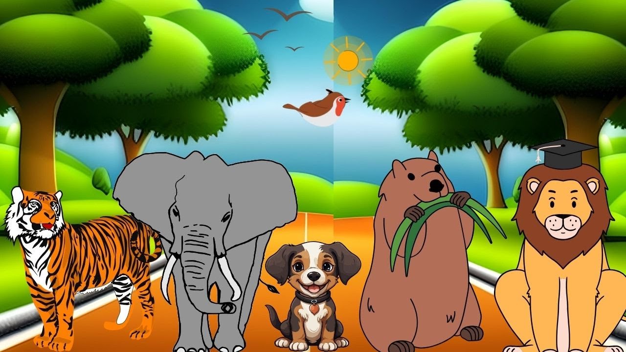 Animal Transformation #animals #transformation #kidstv # ...