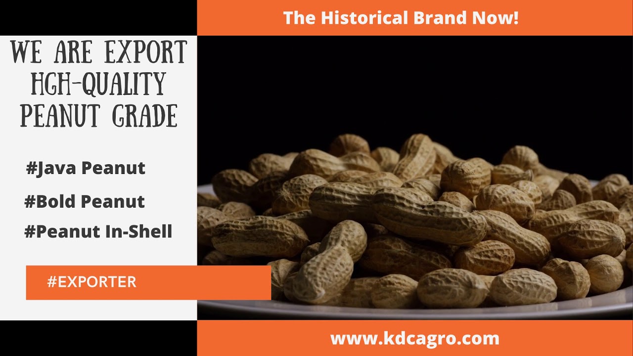 Supplier of Peanut | Bold Peanut | Java Peanut | KDC - YouTube