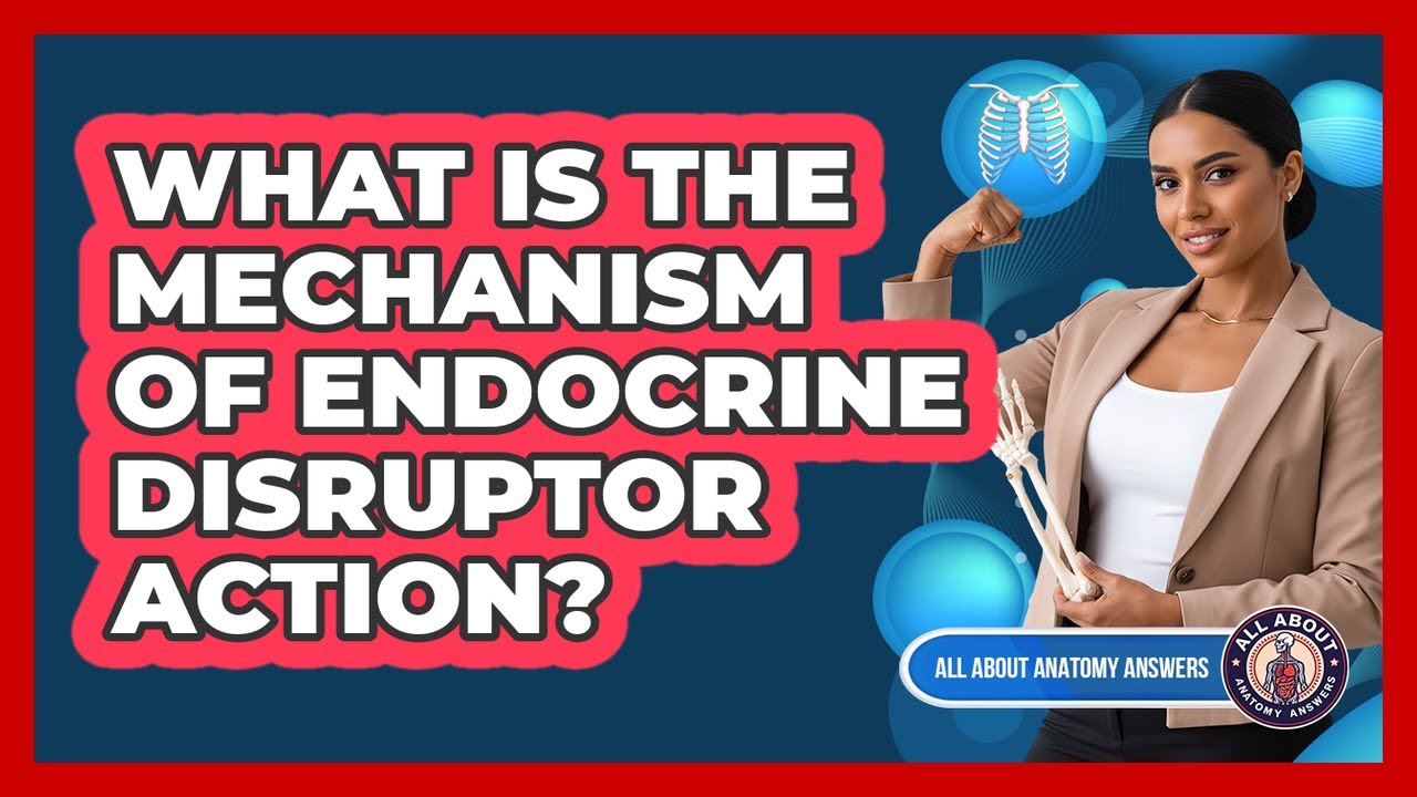 What Is The Mechanism Of Endocrine Disruptor Action? - YouTube