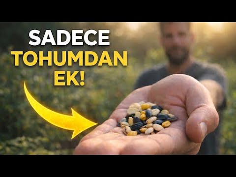 Kesinlikle TOHUMDAN EK!  Bu 10 Bitkiyi Fideden Dikenler Büyük Verim Kaybediyor.
