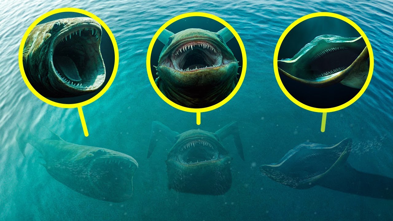 GIANT SEA MONSTERS Was Cached by Drone In Real Life! - YouTube