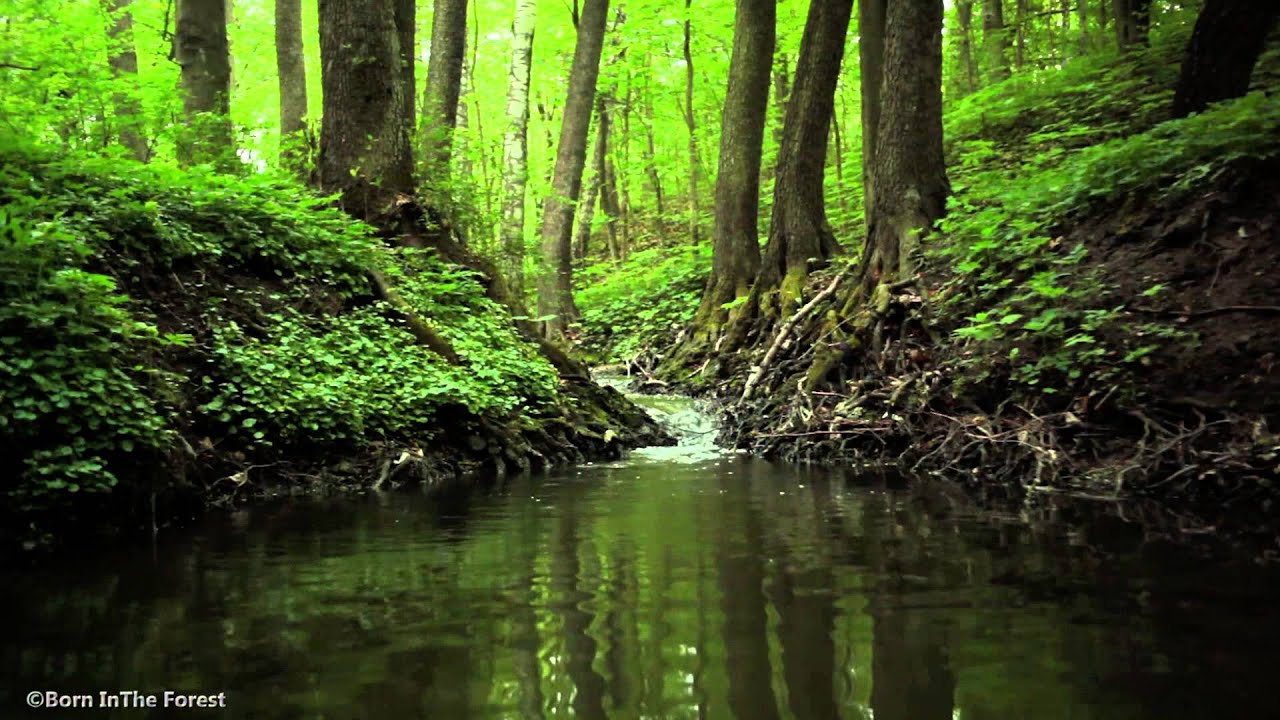 Spring River / Relaxing Meditation Video / Natural Sounds Birth - YouTube