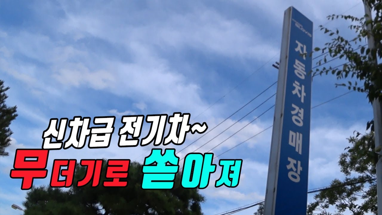 경매장에 신차급 전기차 수십대 나오기 시작했는데 일반인들 몰라서 반가격에 살수 있다고 생각하는데 Youtube