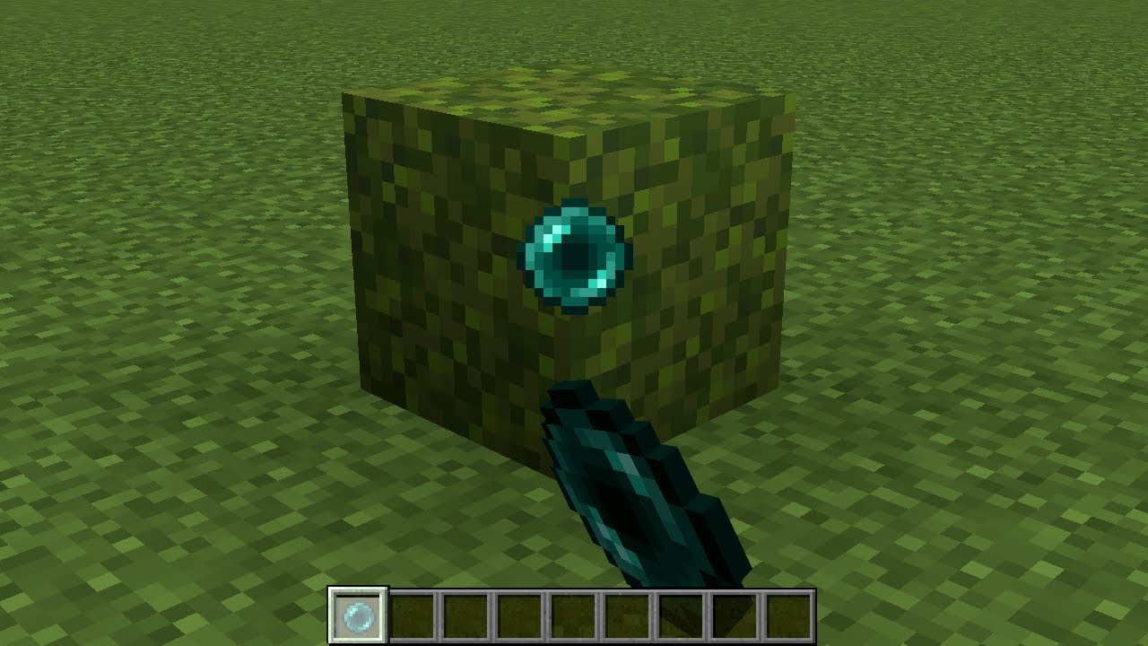 what's inside the moss block? - YouTube