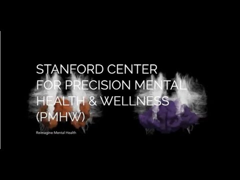2022 2nd Annual Stanford Center for Precision Mental Health and ...
