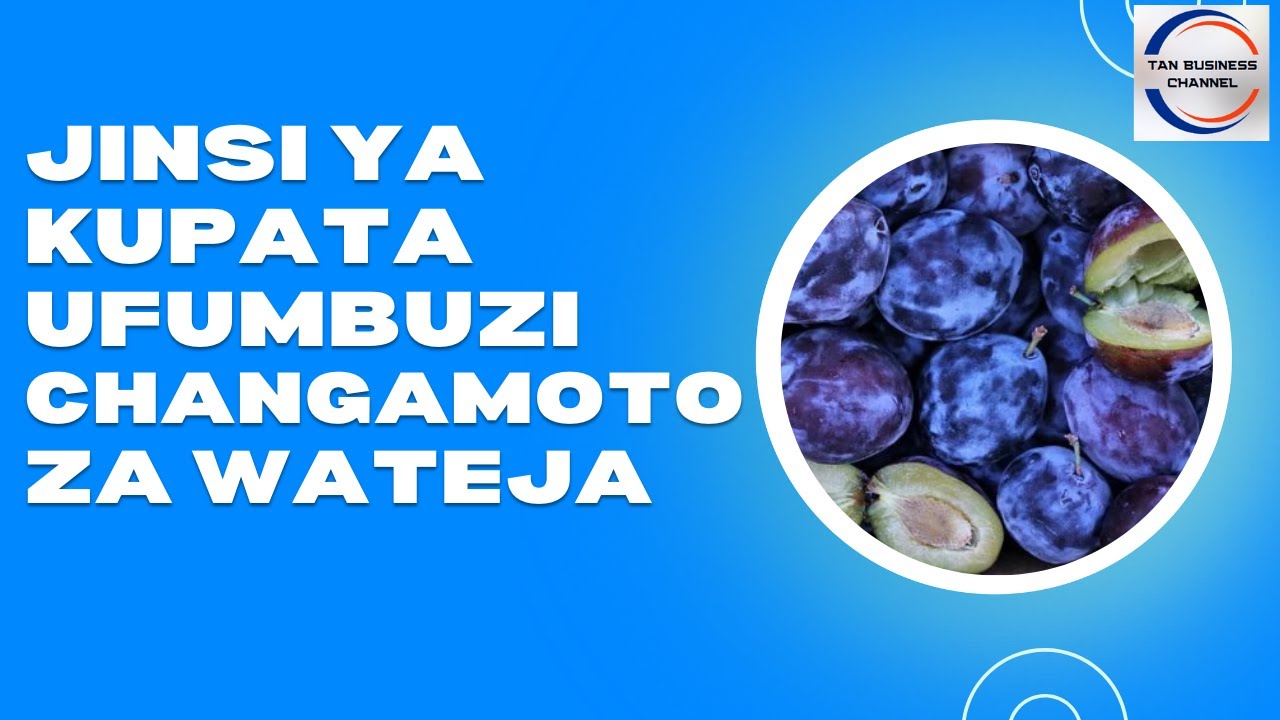 Ufumbuzi wa changamoto 8 za wateja wa biashara ya matunda - YouTube