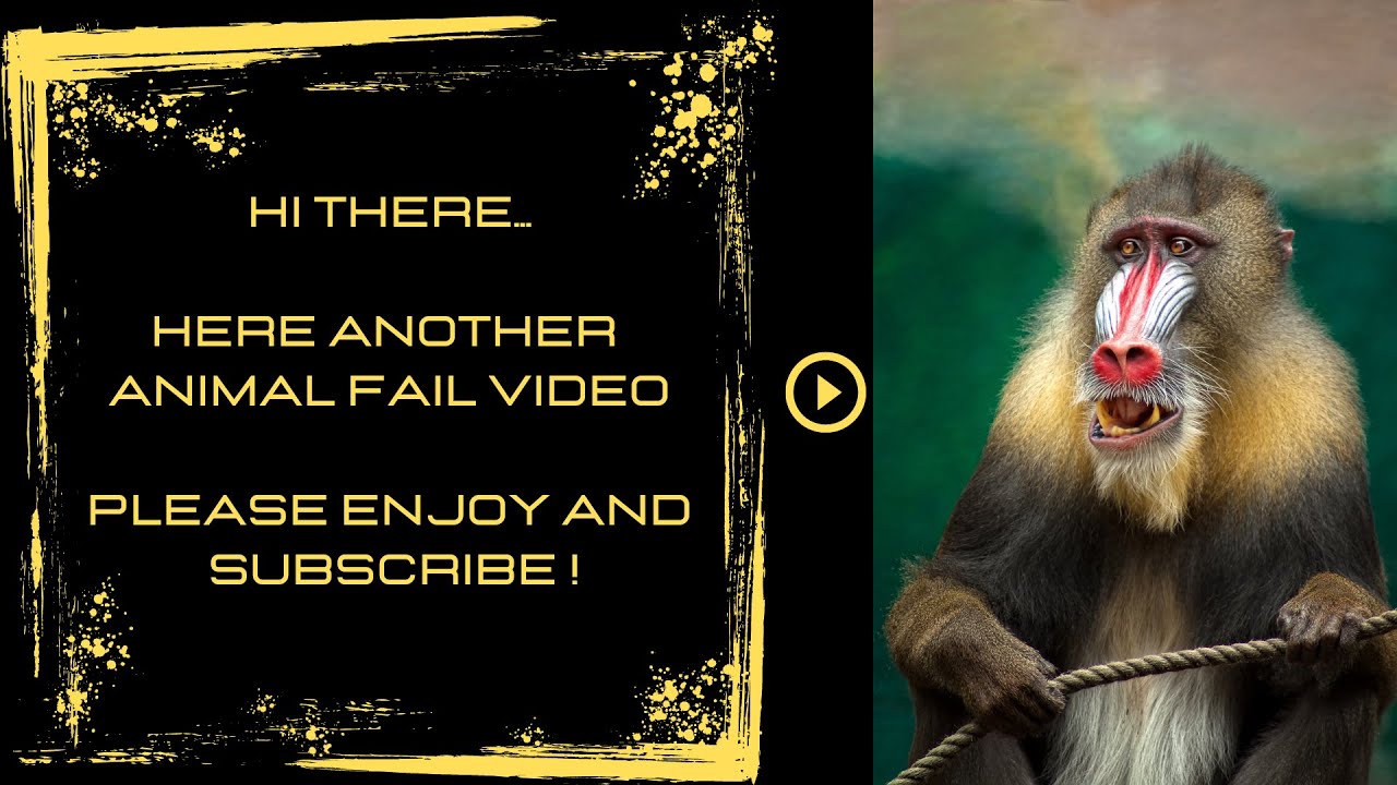 Funny Animal Fails March 2023 Vol 2 !!! - YouTube