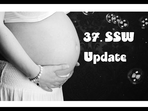 37. SSW Schwangerschaftsupdate Entschuldigung Wiege Kinderbett AnnCooki ...