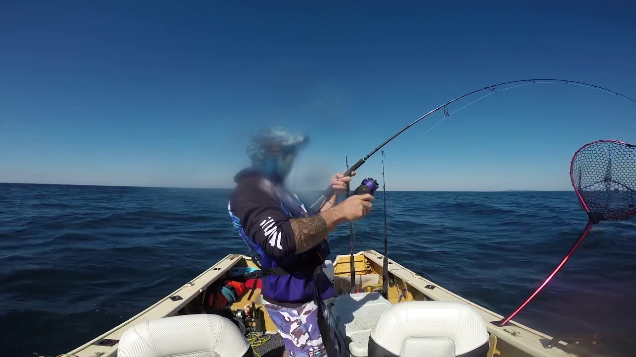Mack tuna on light gear - YouTube
