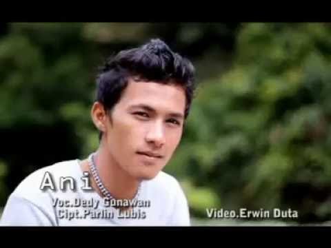 Dedy Gunawan-ANI (Official Music Video)Tapsel Madina - YouTube