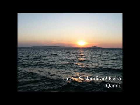 Ürek. Seslendiren. Elvira qemli. 2020