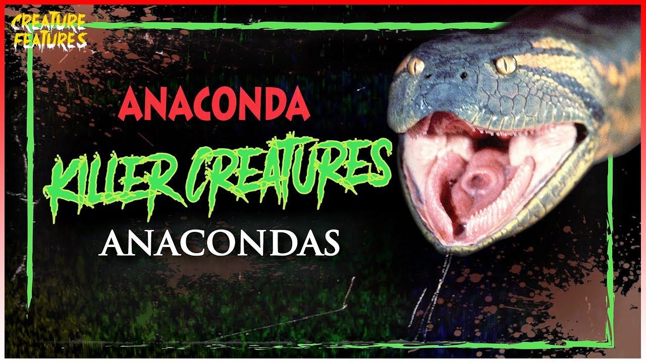 Killer Creatures: Anaconda | Anaconda | Creature Features - YouTube