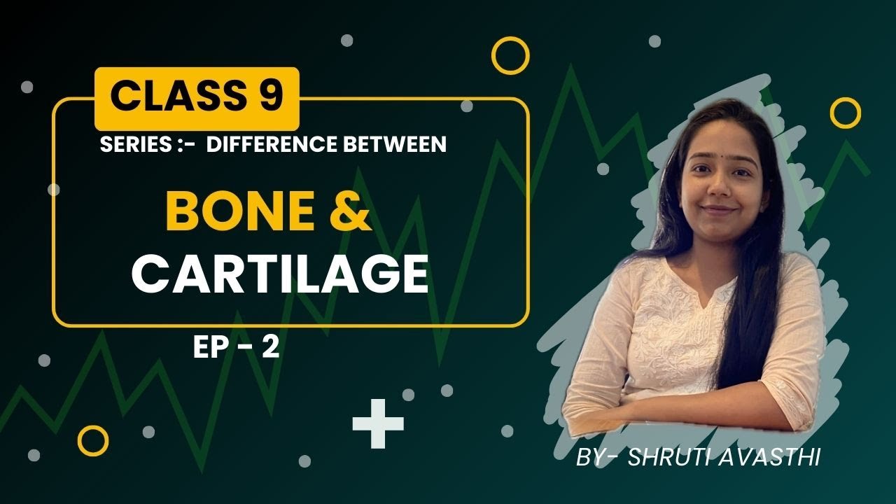 Difference between bone & cartilage | Class 9 |Tissue | Science | NCERT ...