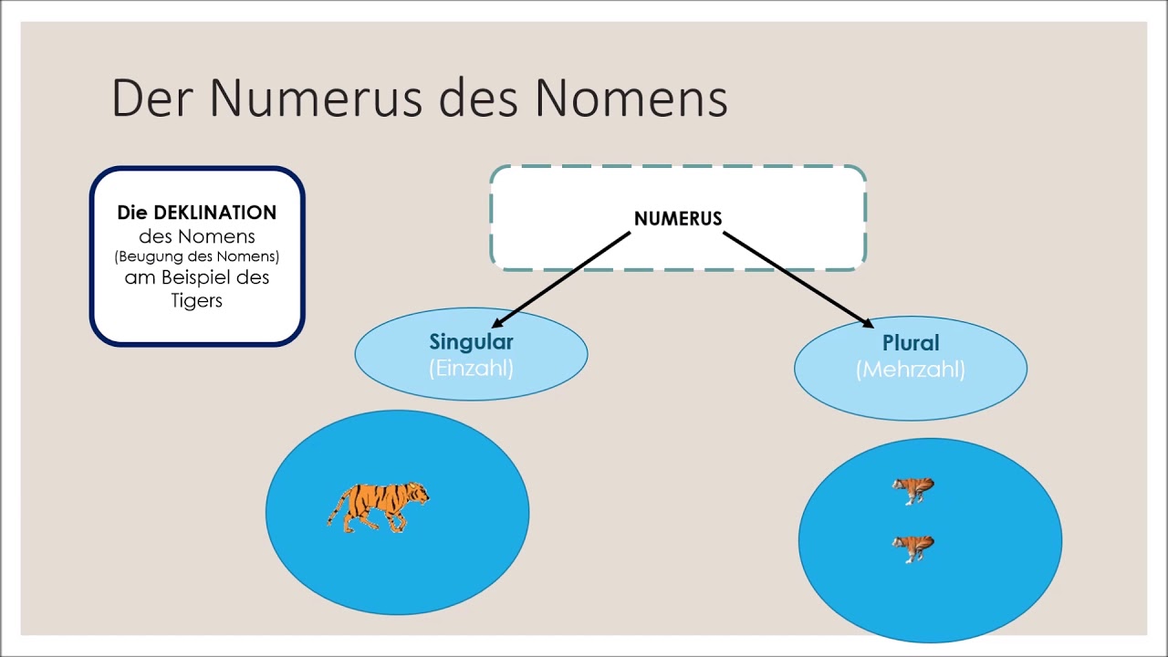 001 Deklination des Nomens mit Kommentar2 - YouTube