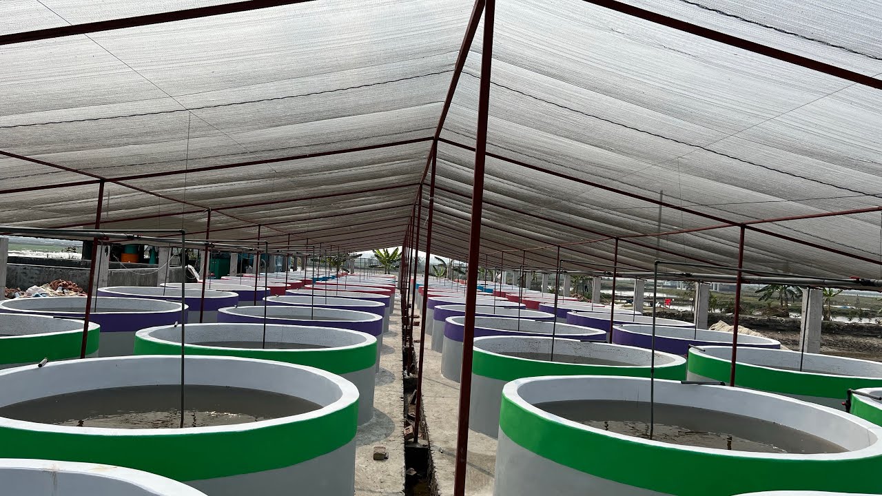koral fish farm in Bangladesh | koral fish project in Bangladesh | RAS ...