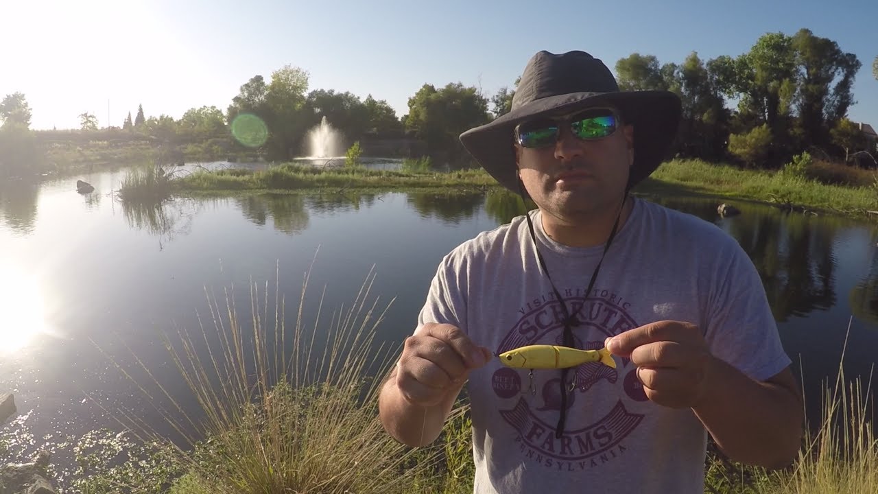 Pond Treasure Recovered! Bait Snagged on 1st Cast, LIVE || James Echo ...