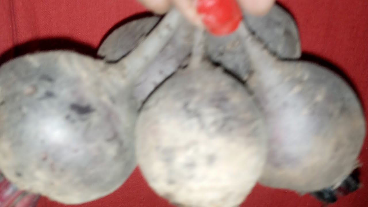 Beet Root pachak||Beetroot kanji recipe - YouTube