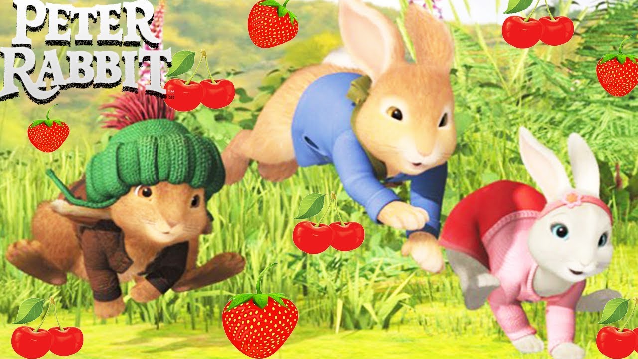 Cbeebies - Hop To It - Kids Learn Fruits and Colors with Petter Rabbit ...