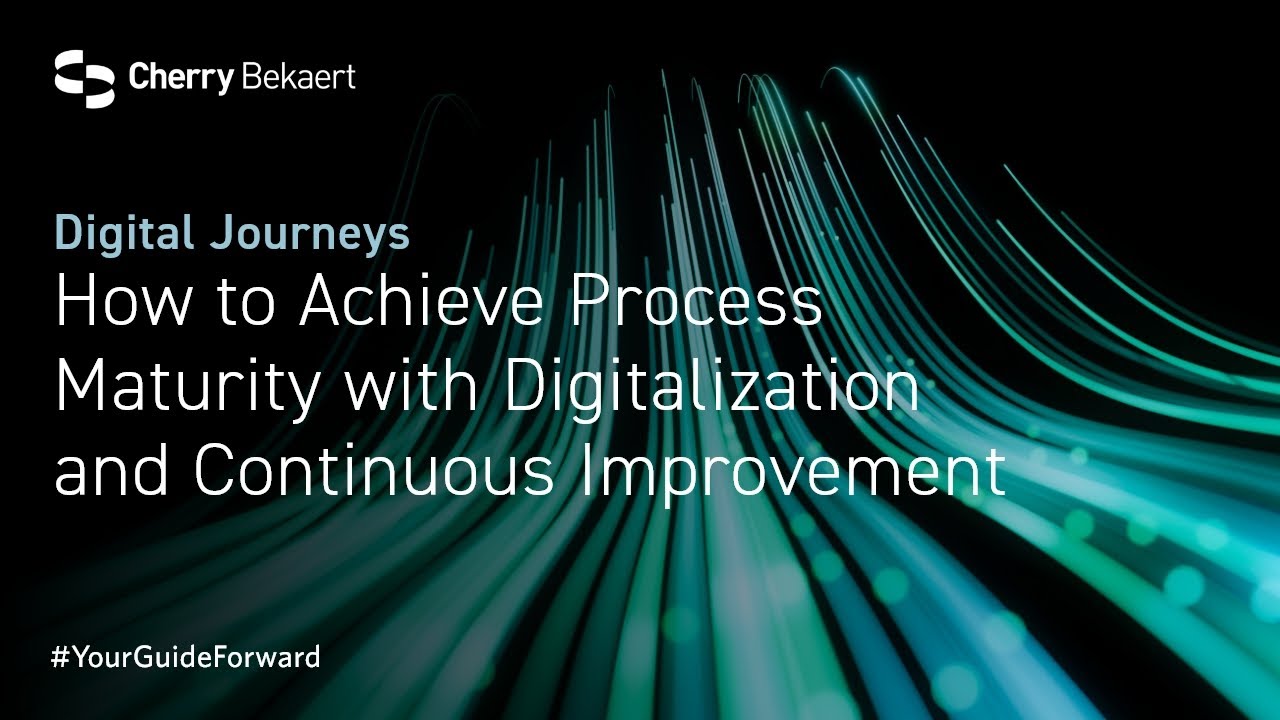 How to Achieve Process Maturity with Digitalization and Continuous ...