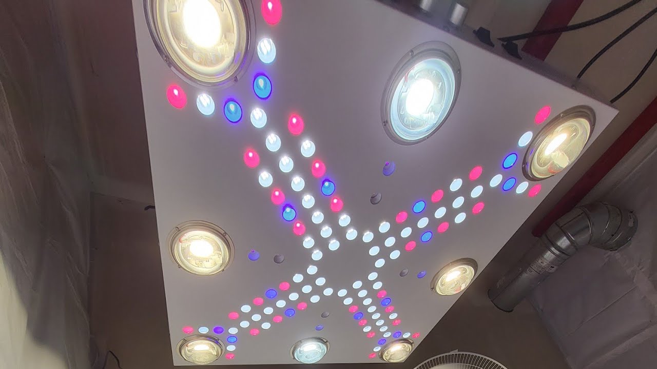 Optic LED Grow Room officially has Seedlings started - Optic 8+ Gen3 ...