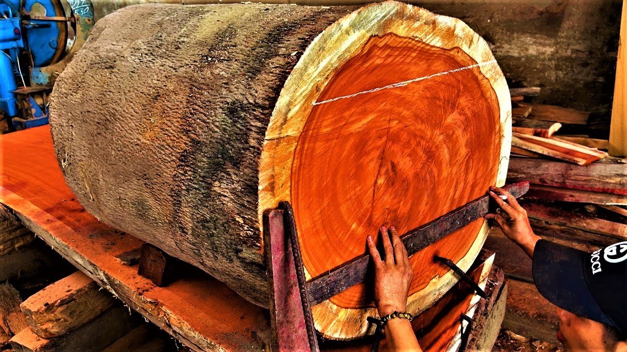 Amazing Sawmill Wood Cutting -The Most Expensive Red Wood Saw In The ...