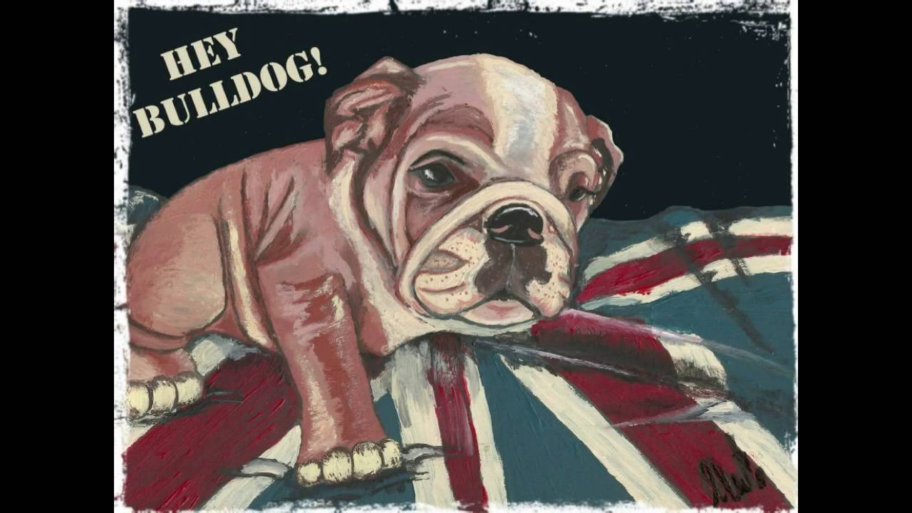 Hey Bulldog (The Beatles) cover - YouTube