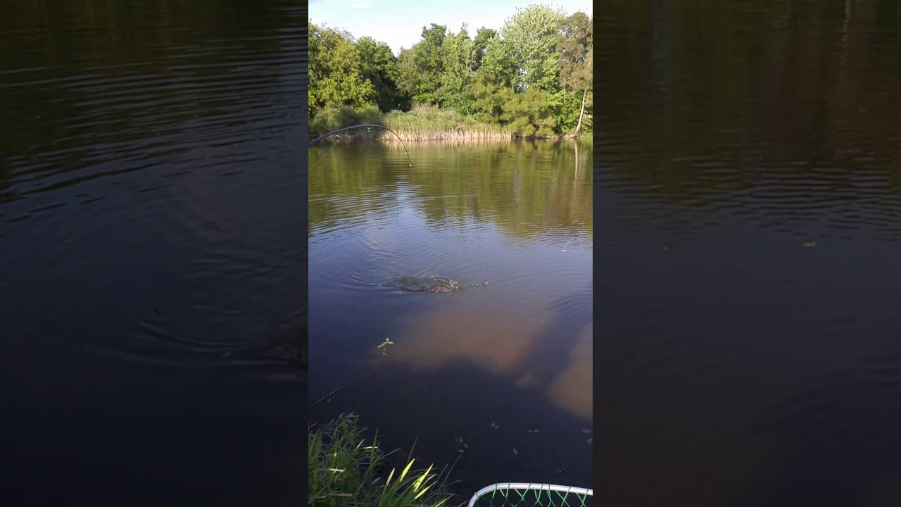 Pike fishing! Woodstock Ontario pittock lake - YouTube