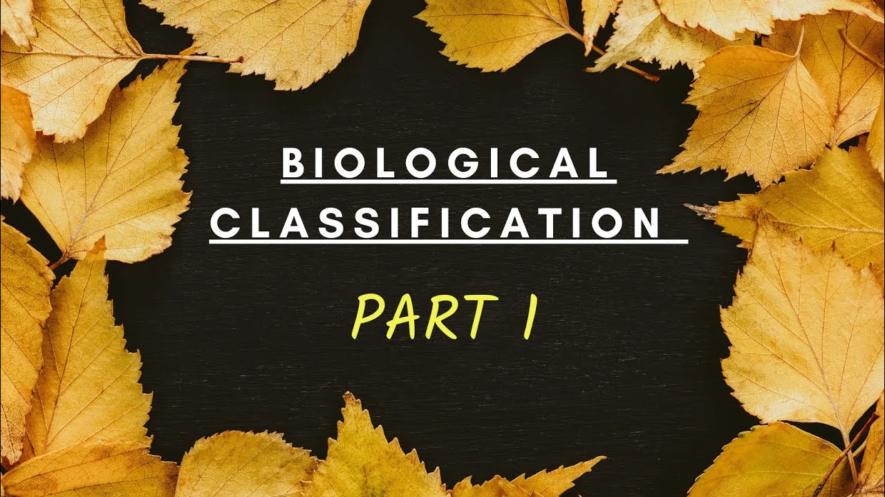 Basic classification|Ch.2 Biological Classifications | By Vaishnavi ...