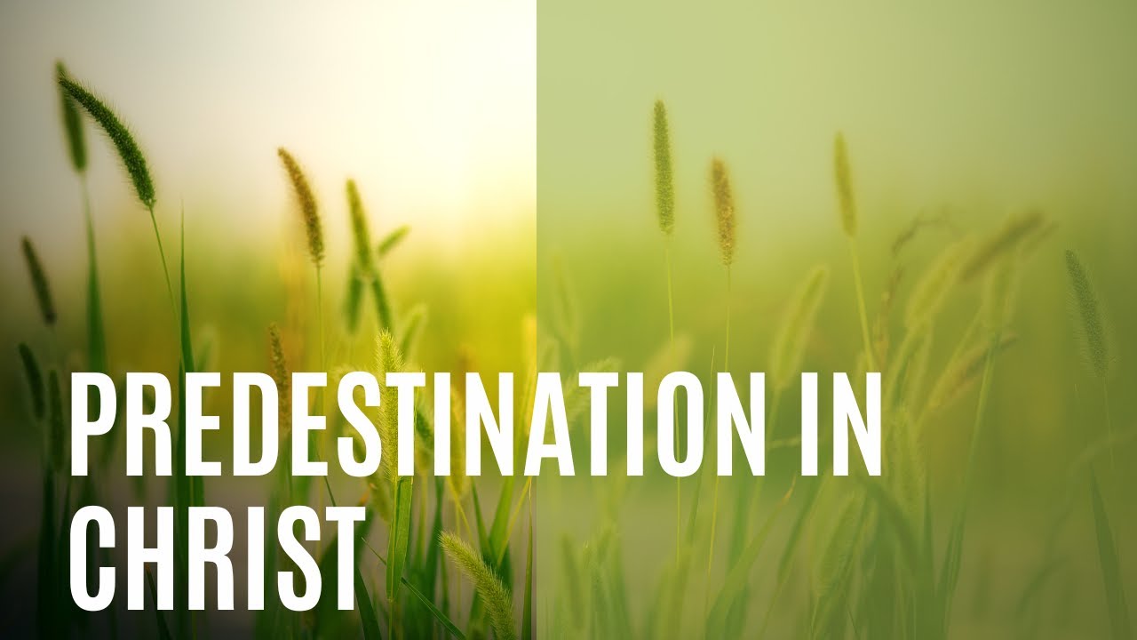 The Truth about the Bible.. Predestination in Christ - YouTube