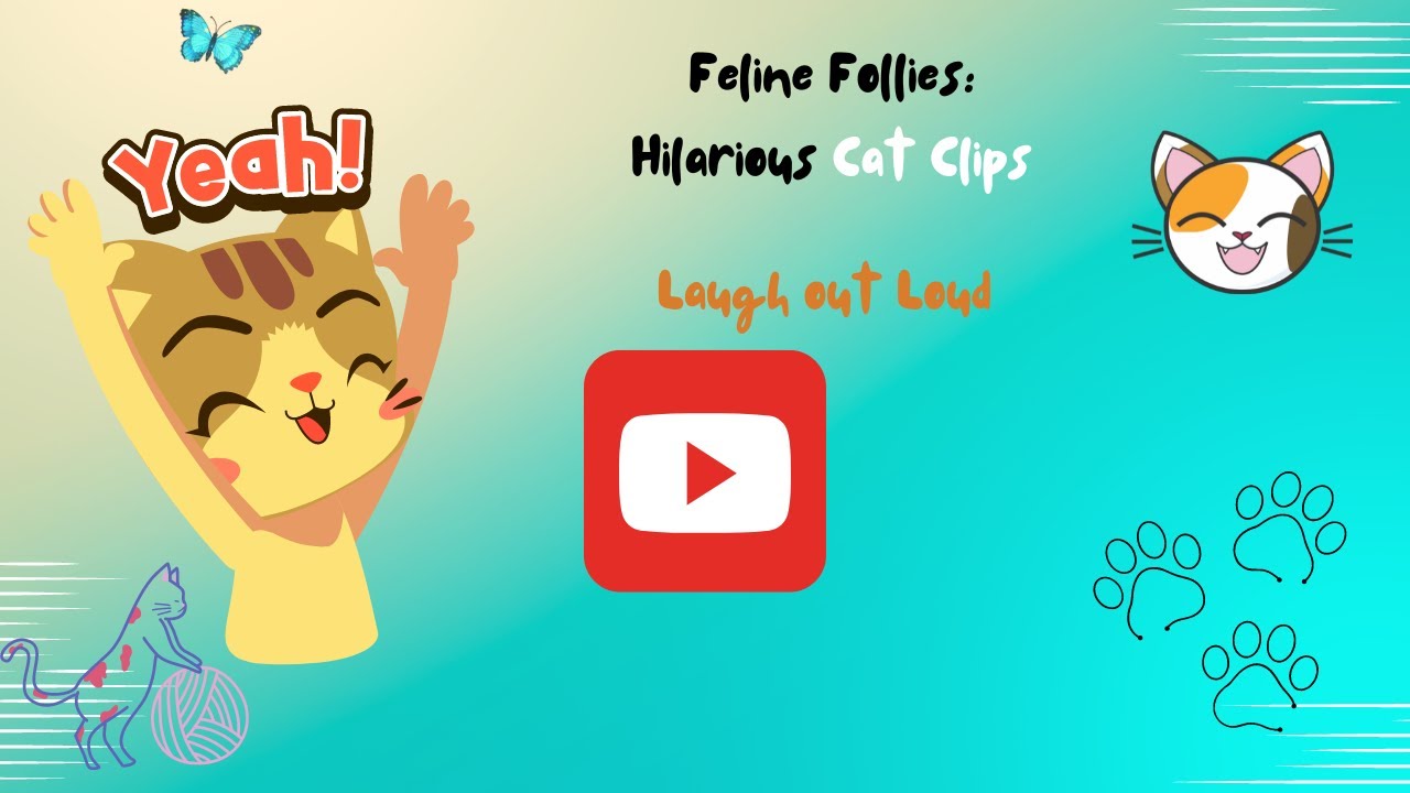 Feline Follies Hilarious Cat Clips - YouTube