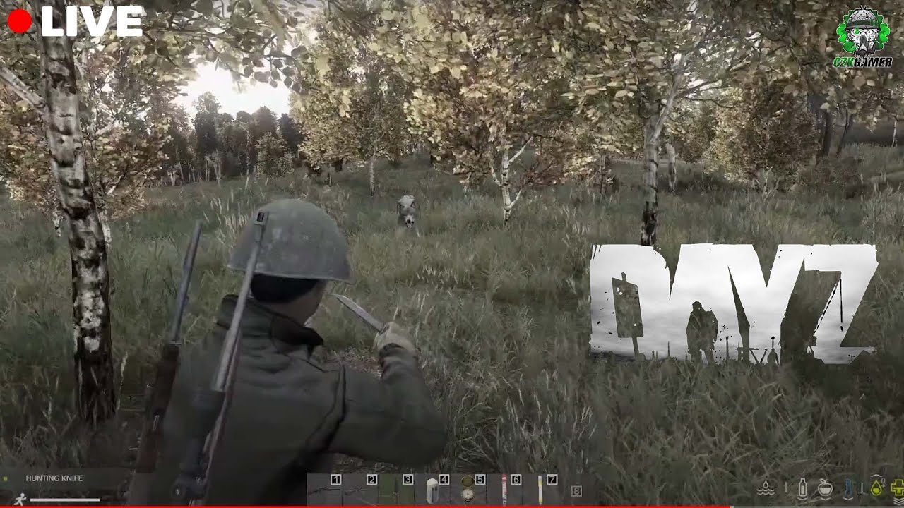 [LIVE]🔴DAYZ วันที่ 17 : แก้แค้นหมา(ป่า) #dayz #dayzstandalone - YouTube