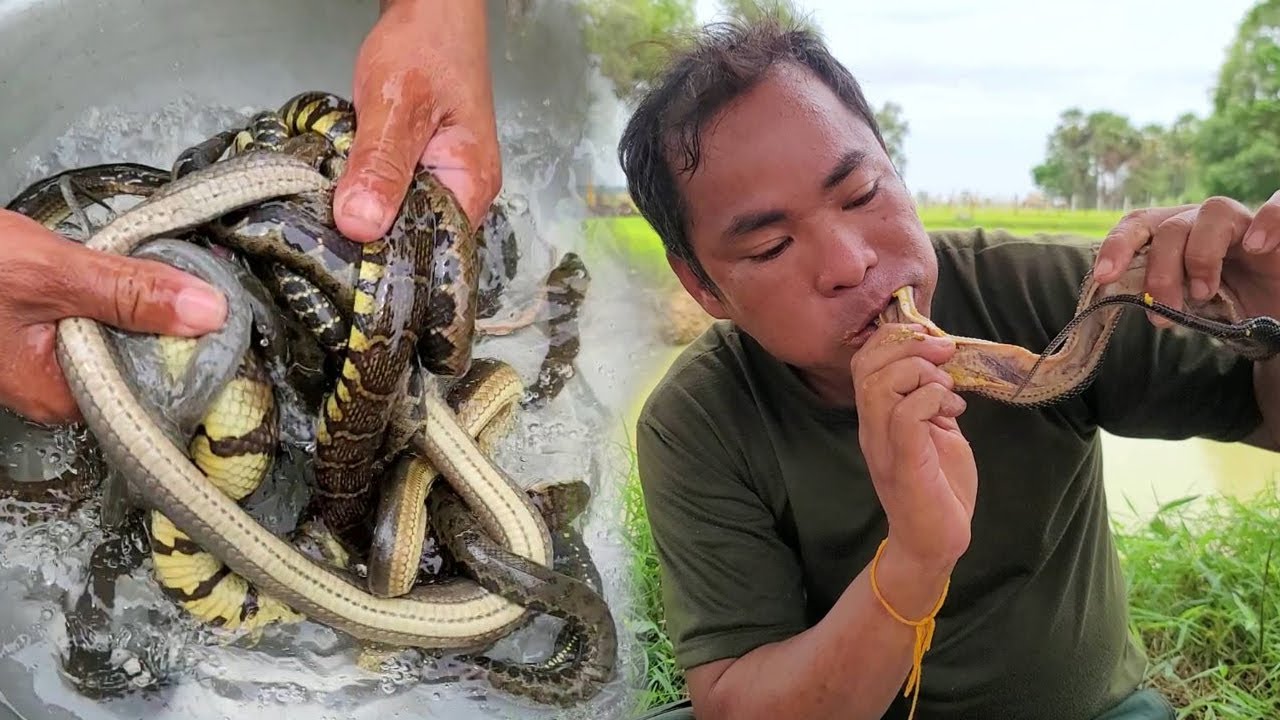 Yummy Bake Snake In Pumpkin - YouTube