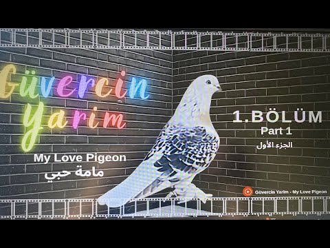 Güvercin Yarim  - My Love Pigeon - Türk Filmi - 1  Bölüm