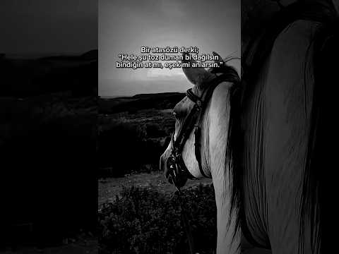 #derinsözler  #atasözleri #hayat #at #motivasyon #tozduman #atasözü #shortvideo