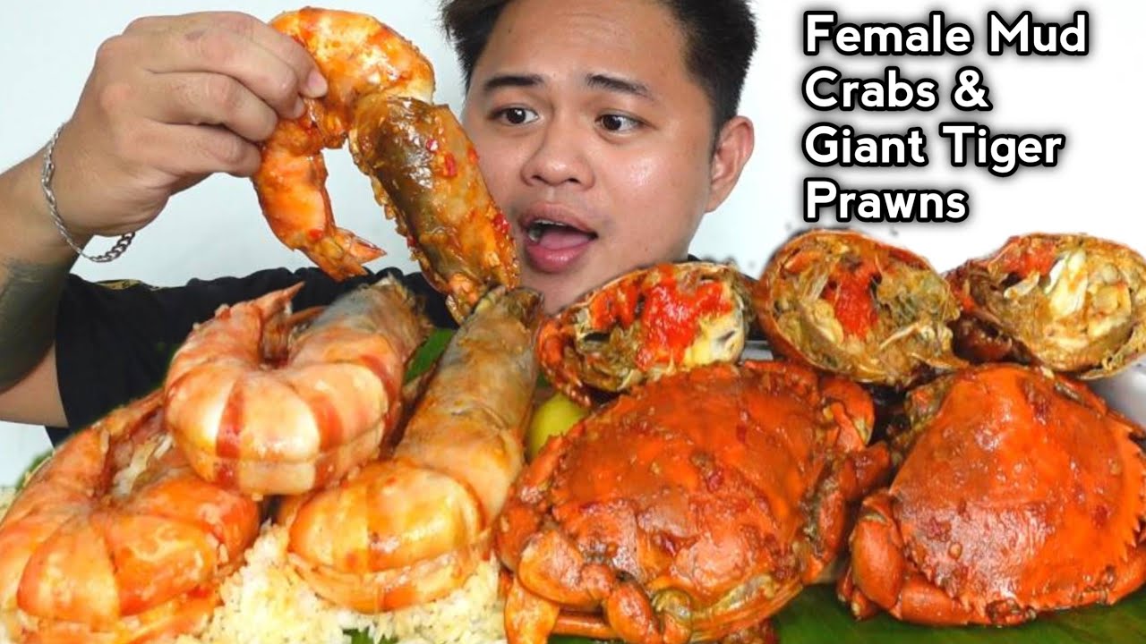 Giant Tiger Prawns