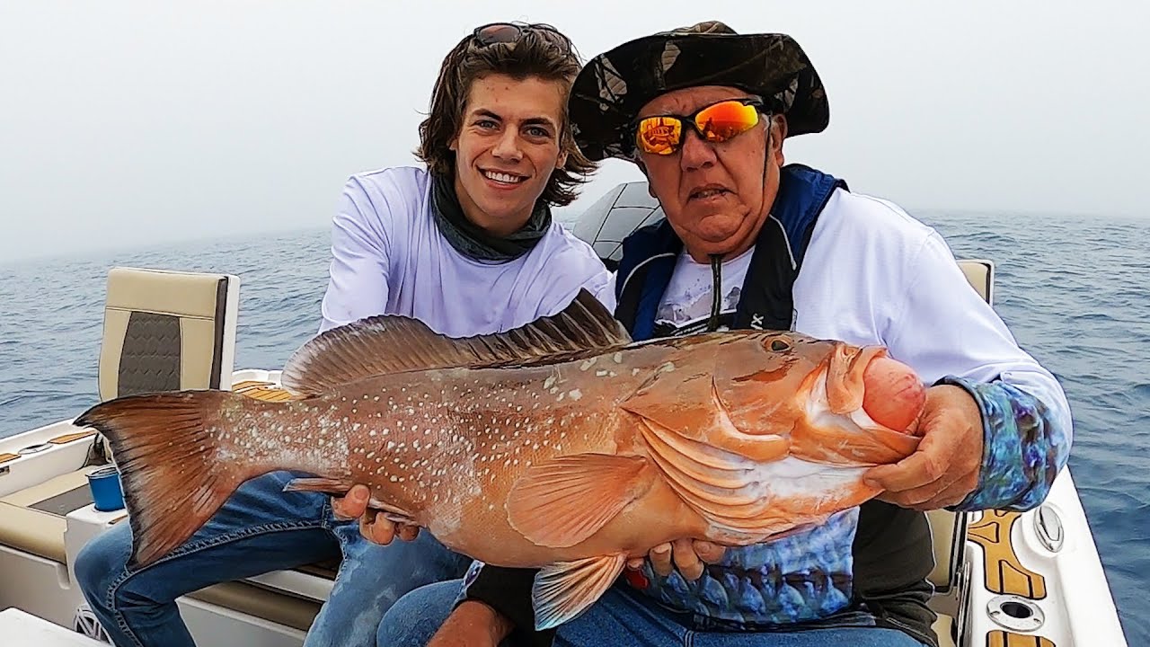 BANDED RUDDERFISH! Catch, Clean and Cook! Amazing Results! - YouTube