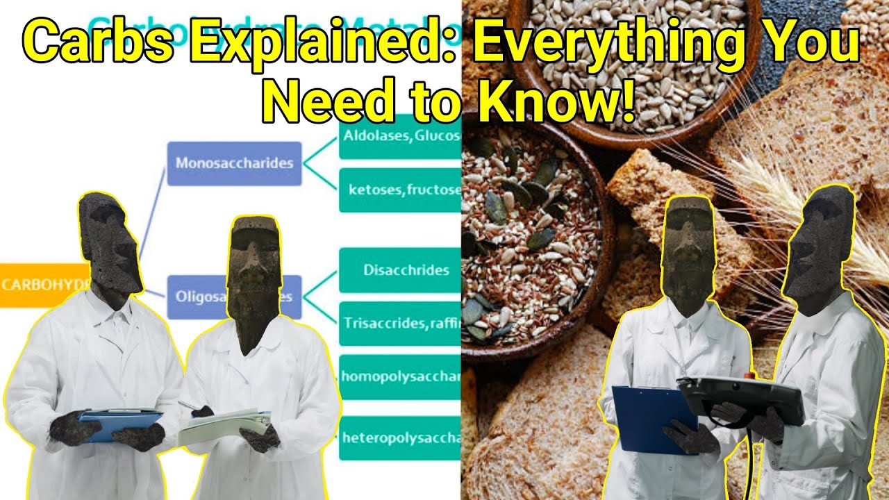 Carbs Explained: Everything You Need to Know! - YouTube