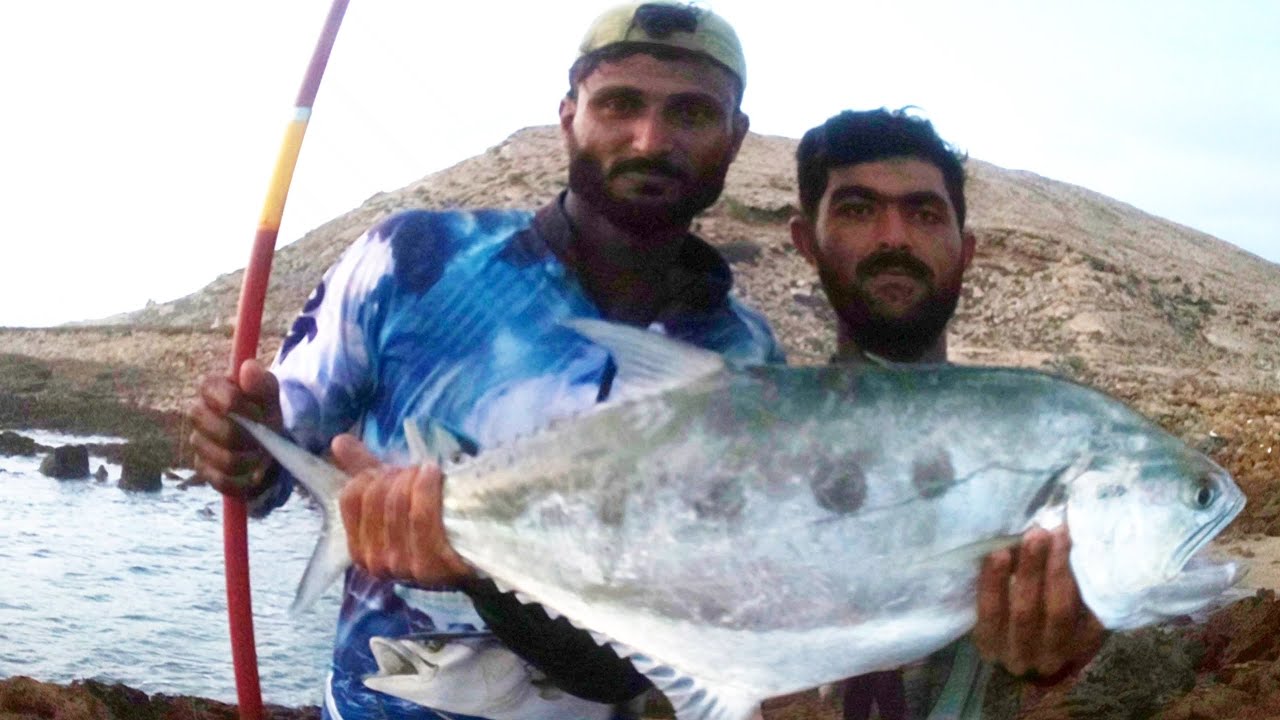 Surf Casting Video at Mubarak Village |Catch a Queen Fish |Surf Fishing ...