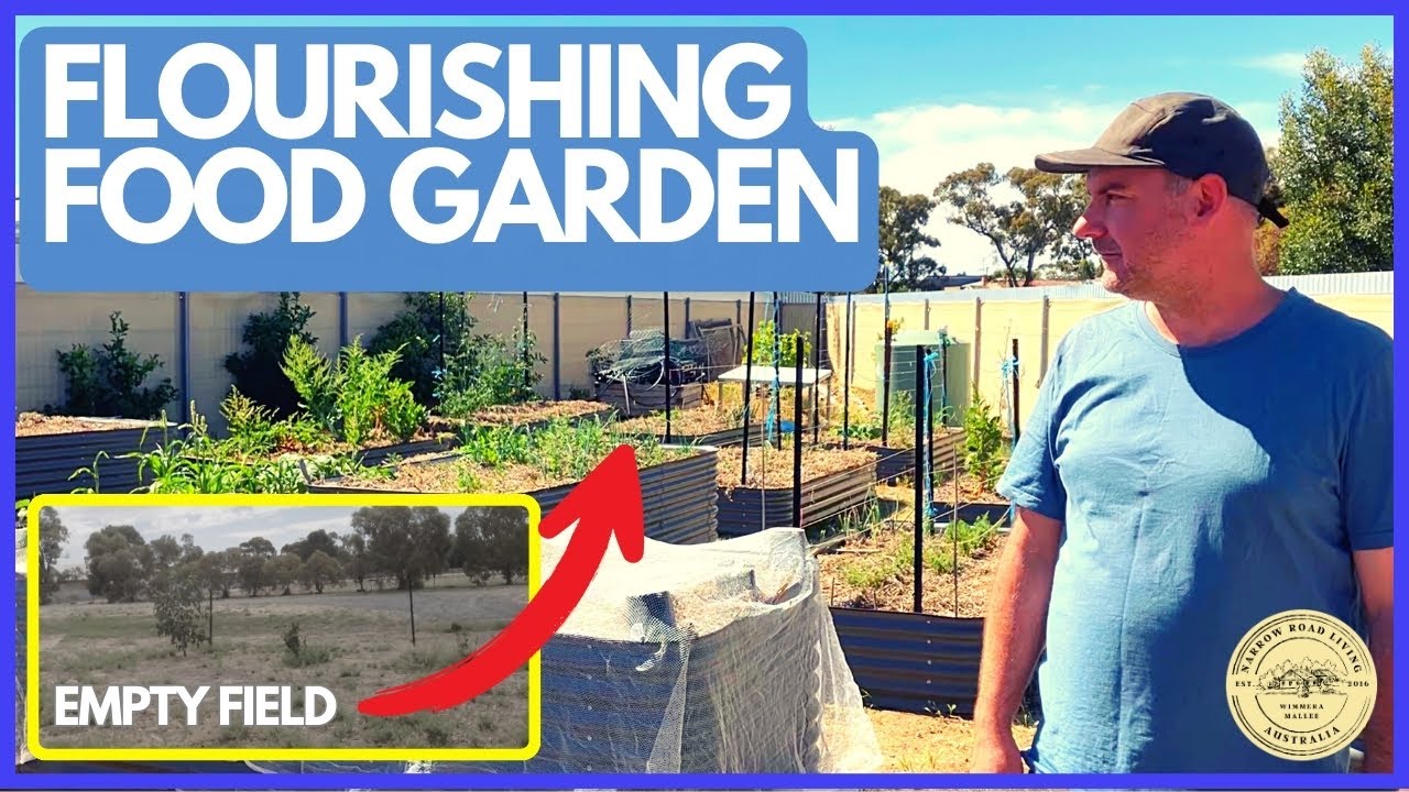 Empty Field to Flourishing Food Garden - Permaculture Transformation ...