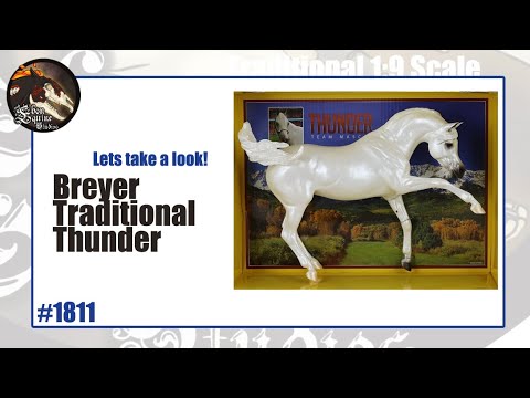 Breyer Traditional Thunder | Lets take a look | Model Horses - YouTube