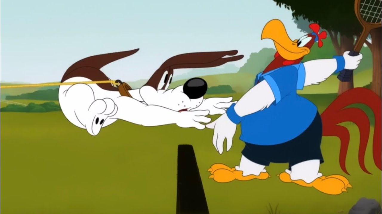 Foghorn Leghorn- Tennis Dawg (Looney Tunes Cartoons) - YouTube