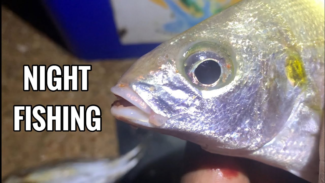 Fishing Durban South Africa - YouTube
