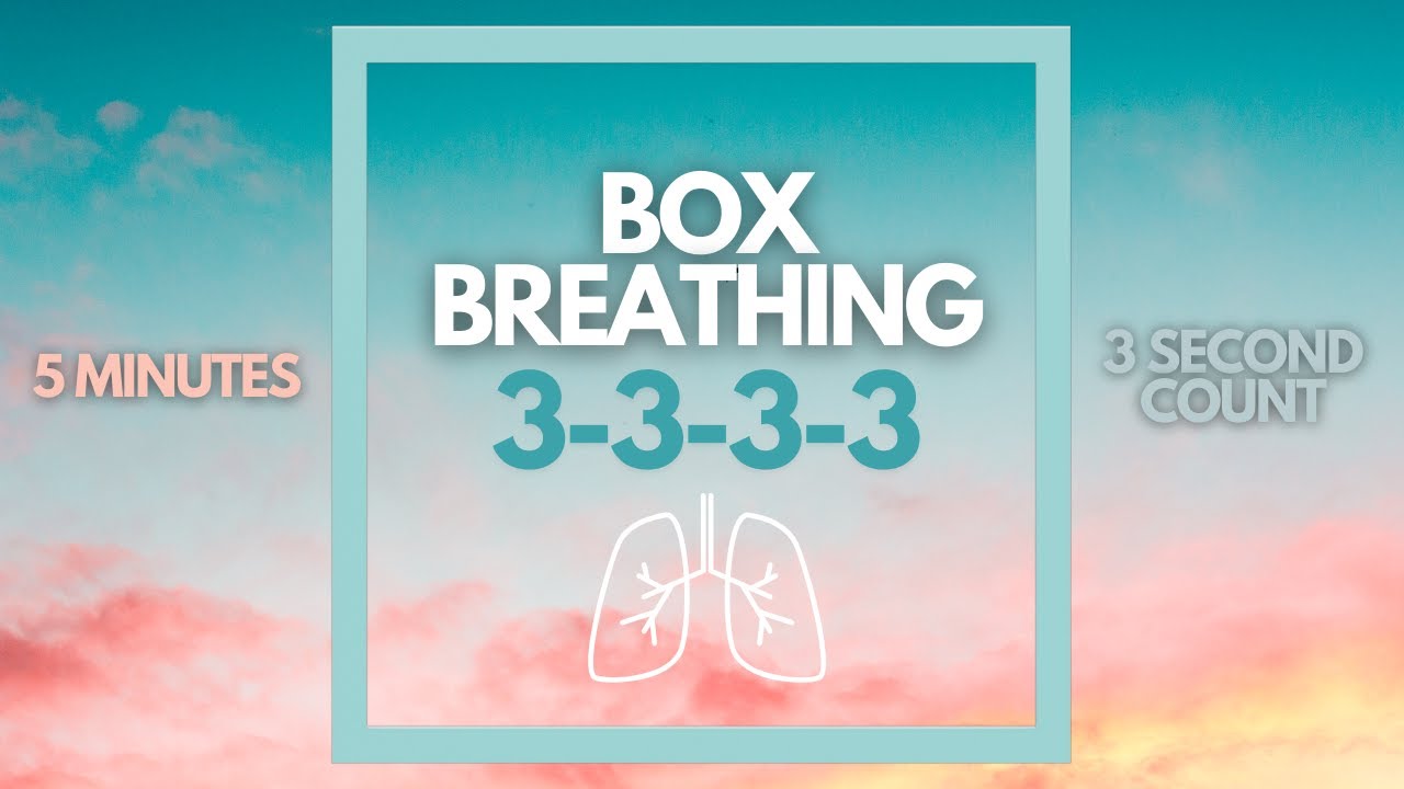 Guided Box Breathing Exercise // 3-3-3-3 for 5 minutes - YouTube