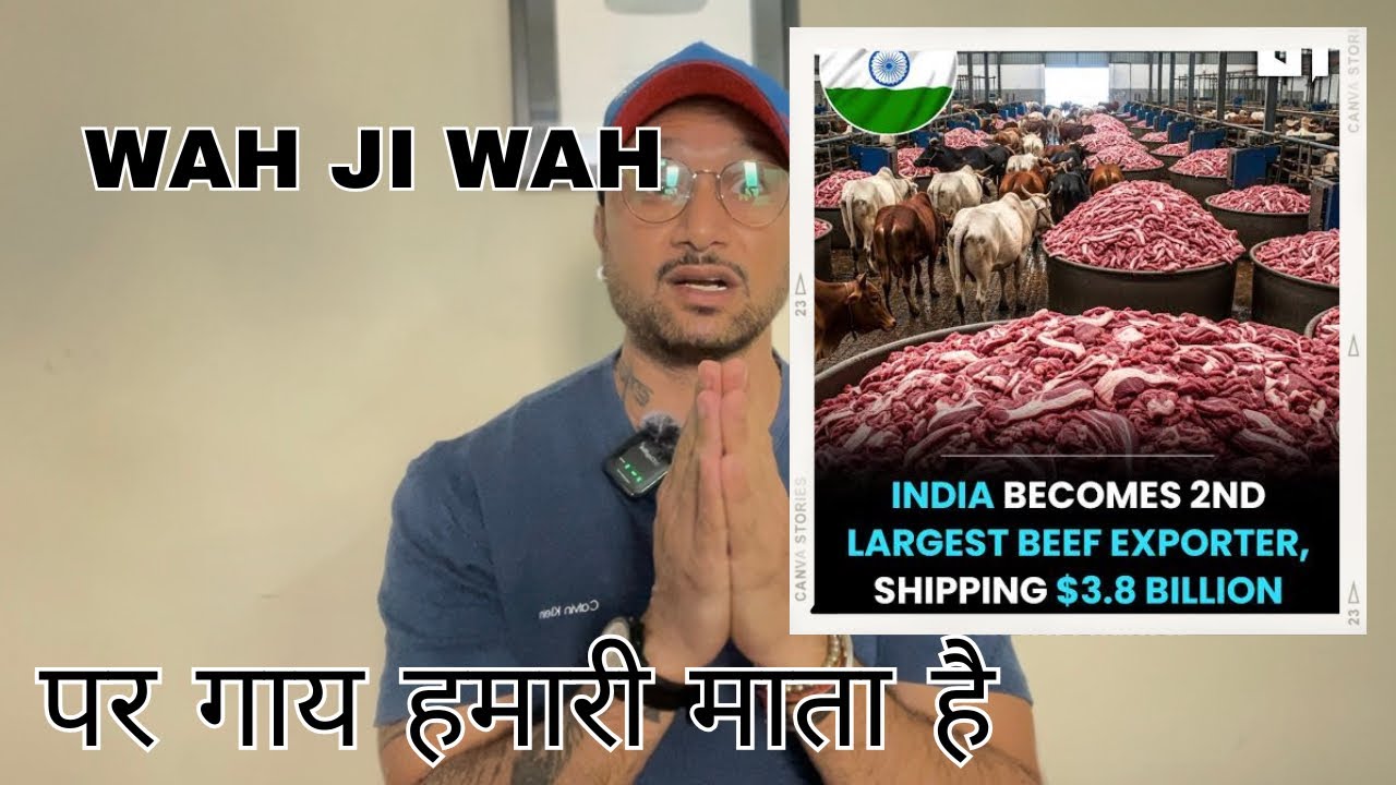 INDIA BECOMES 2nd LARGEST BEEF EXPORTER - YouTube