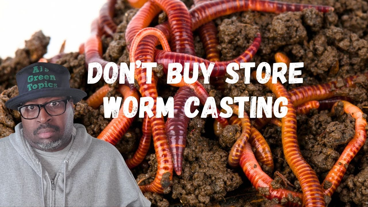 What To Know About Worm Bedding Materials - YouTube