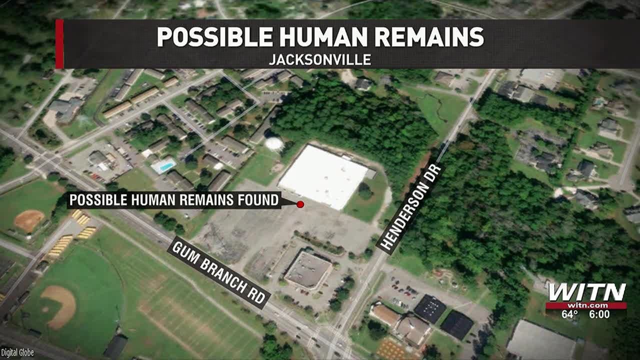 Possible human remains found near Jacksonville gym - YouTube