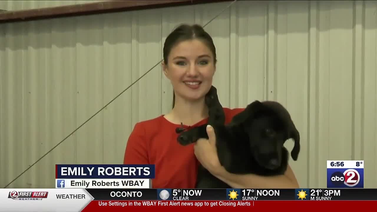 Morning reporter Emily Roberts moves on - YouTube