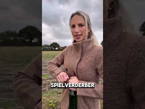 Montagsmotivation - für eine neue Woche ? 🤭#monday #reels #viral #hanna #motivation