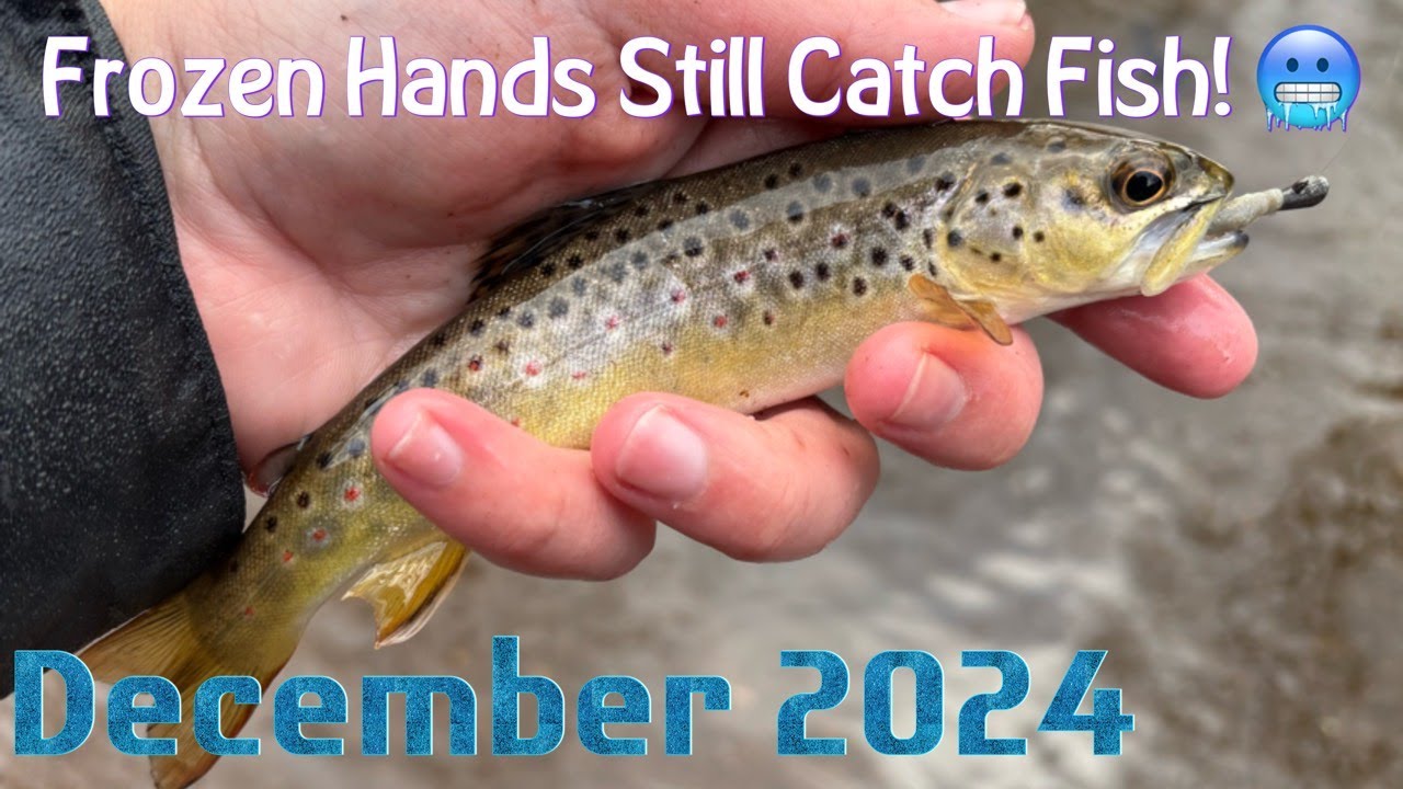 A MISERABLE Day Of Wild Trout Fishing In Pennsylvania... (Frozen Hands ...