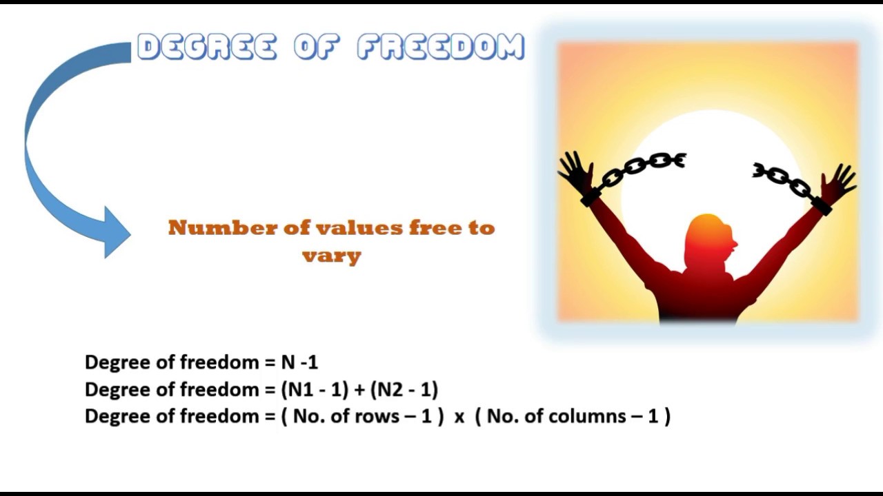 #11 شرح Degree of Freedom & One or Two tailed test - YouTube